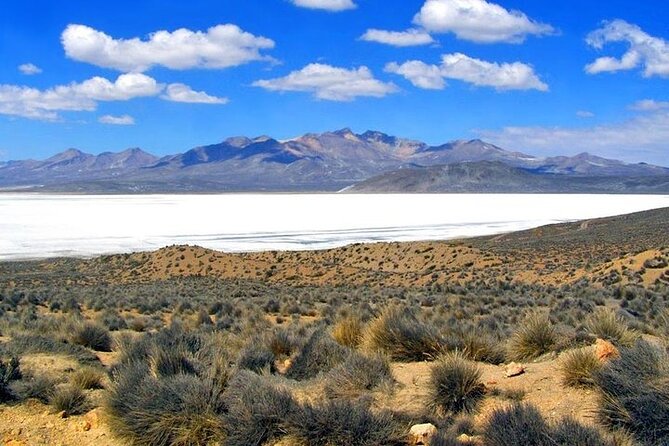 8-Hours Tour in Arequipa Laguna De Salinas With Pick-Up - Stunning Scenery