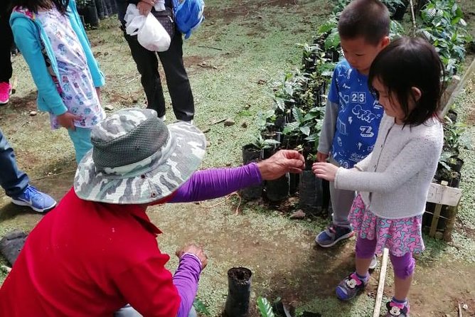 A Taste of Aquiares - 2 Hours Coffee Tour - Tour Inclusions