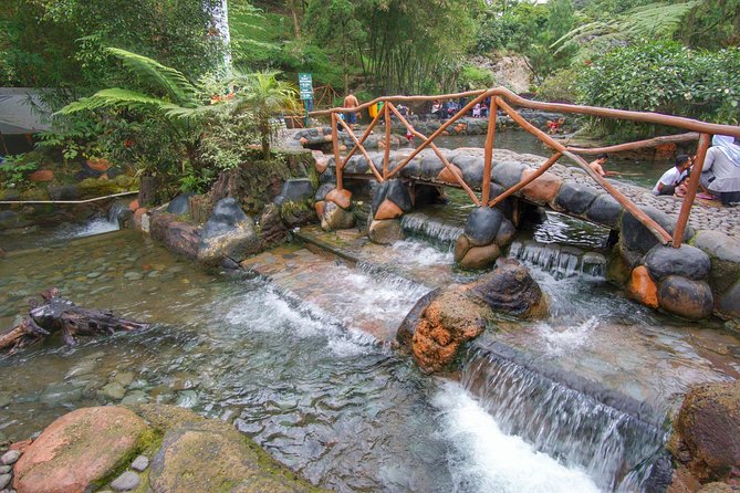 Active Volcano, Rice Field, Hot Spring, Fruit market, Tea Plantation with Lunch - Who Will Love This Tour?