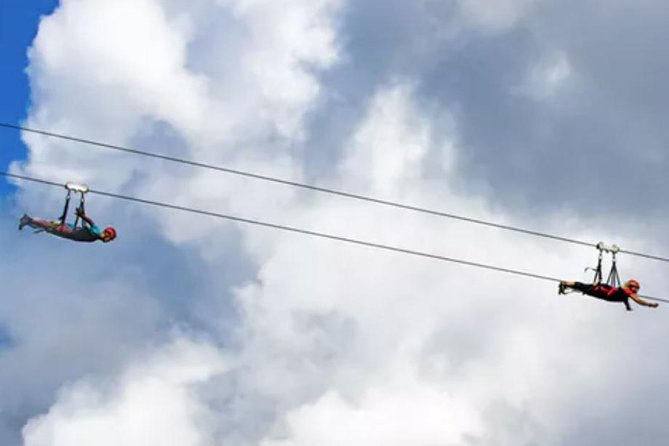 AdrenaLine Kauai Zipline - Customer Reviews and Feedback