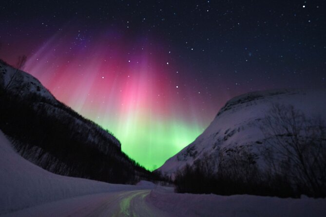 Adults Only Aurora Hunt Tour in Tromso - Negative Feedback and Issues
