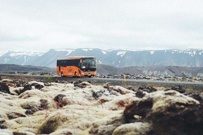 Airport Transfer in Iceland From Keflavik Airport to Reykjavik City With Hotel Drop off - Customer Experiences and Feedback
