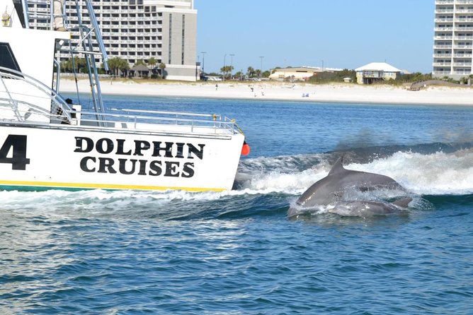 Alabama Gulf Coast Dolphin Cruise - The Sum Up