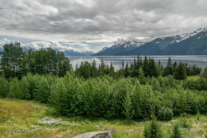 Alaska Wildlife Day Tour With Free Hotel Pickup - Tour Feedback
