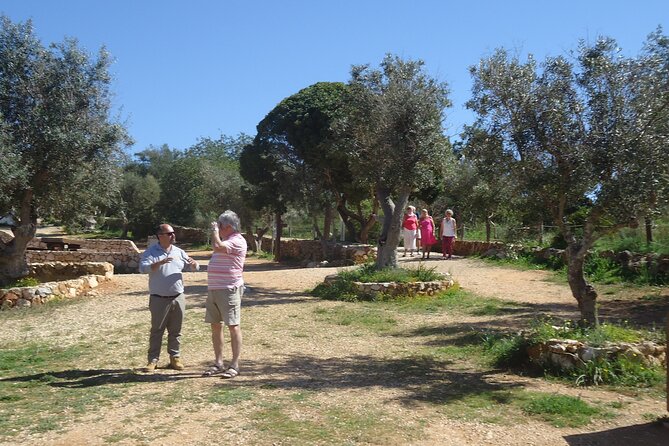 Algarve Private Tour With Typical Lunch - Discovering Local Cuisine: The Typical Portuguese Lunch