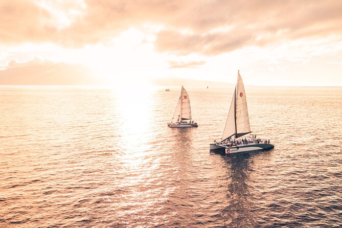 Alihilani Sunset Sail From Maalaea Harbor - Meeting Point and Logistics