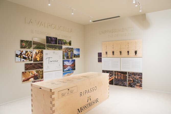 Amarone Wine Experience at Montresor Winery - Sensory Journey in the Cellar and Tasting Room