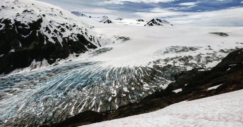 Anchorage: 11 Day Grand Alaska Highlights Tour - What Travelers Say and Why This Tour Offers Value