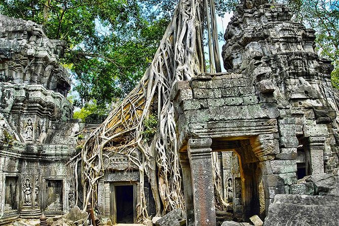 Angkor Wat Small-Group Exploration with Expert Guide - Authentic Experience and Real Feedback
