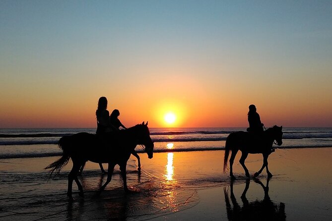 Antalya Horse Riding On Beach And Through The Forests For 2 Hours - Health Restrictions and Physical Fitness