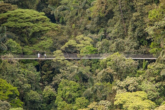Arenal Best 4 Attractions (Full Day - Combo) Incl. Lunch & Dinner - La Fortuna Waterfall