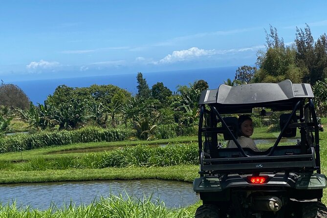 ATV Ranch Ride Big Island Hawaii - Exotic Orchard Exploration