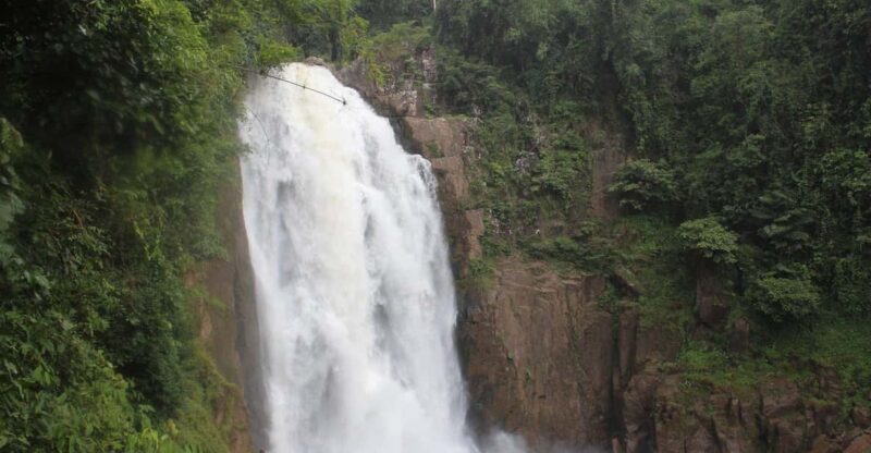 Back to Nature Trekking and Hiking at Khao Yai National Park - The Itinerary Breakdown