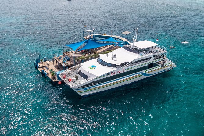 Bali Hai - Reef Cruise - Snorkeling and Marine Encounters