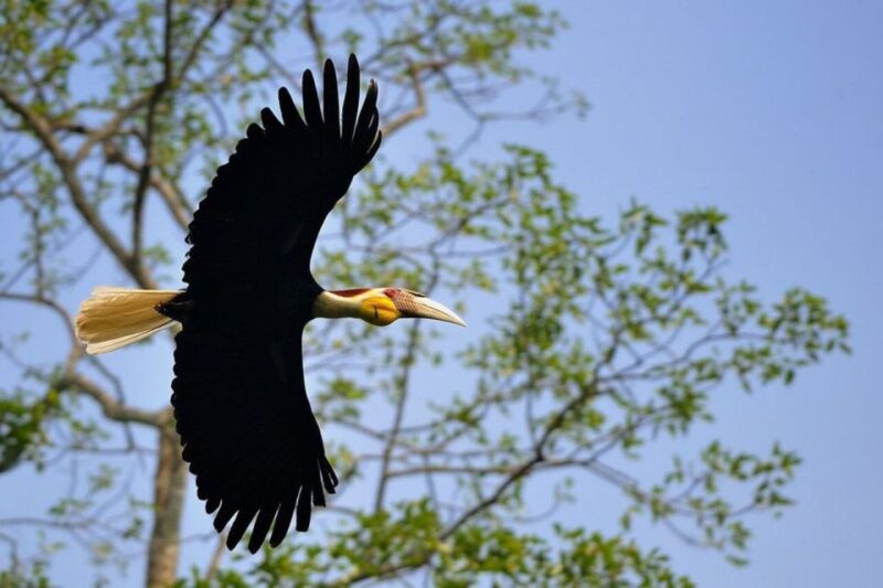 Bangkok: Khao Yai National Park with Horseback Ride Day Trip - FAQs