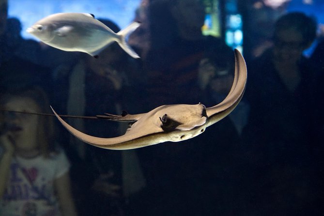 Barcelona Aquarium Skip the Line Ticket - Visitor Amenities and Services