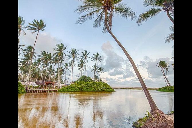 Barra De Punaú Tour - Departing From Natal - Why Choose This Tour