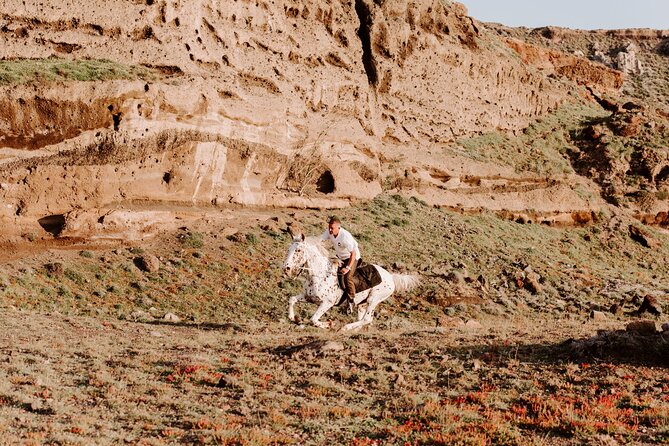 Beach Gallop - Horse Riding Safari for Experienced Riders - Guest Experiences