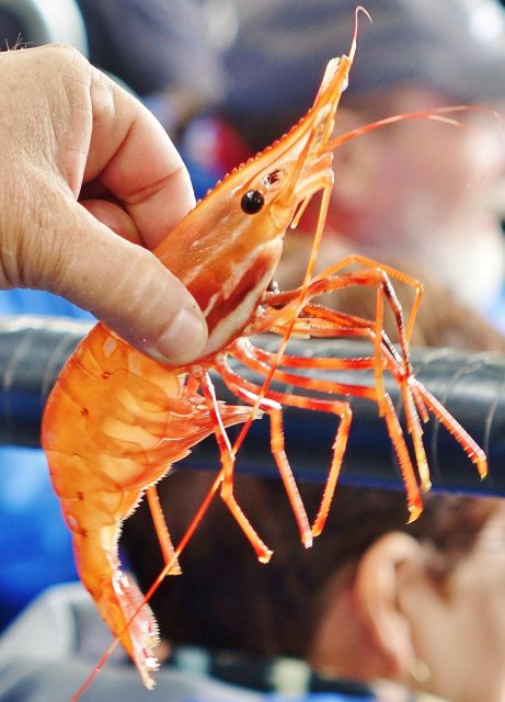 Bering Sea Crab Fishermen's Tour - FAQs