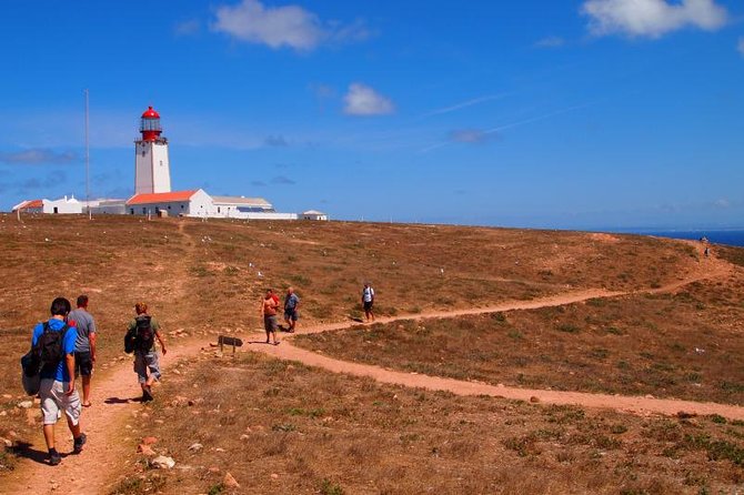 Berlenga Island Small-Group Day Trip From Lisbon - Important Information