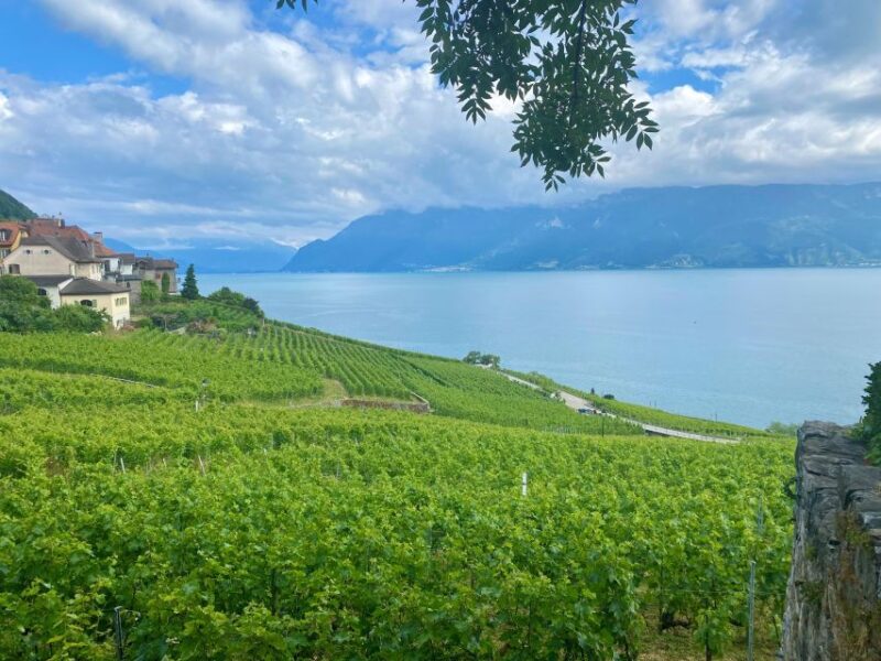 Bern: Gruyères & Lavaux Vineyard Day Trip With Cheese & Wine - Discovering the Secrets of Gruyères Cheese
