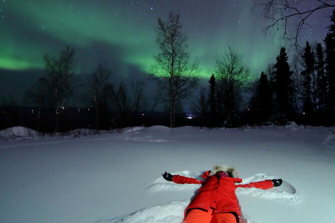 Best Northern Lights Aurora Adventure FREE Portraits & Hot Pizza - Customer Reviews and Feedback