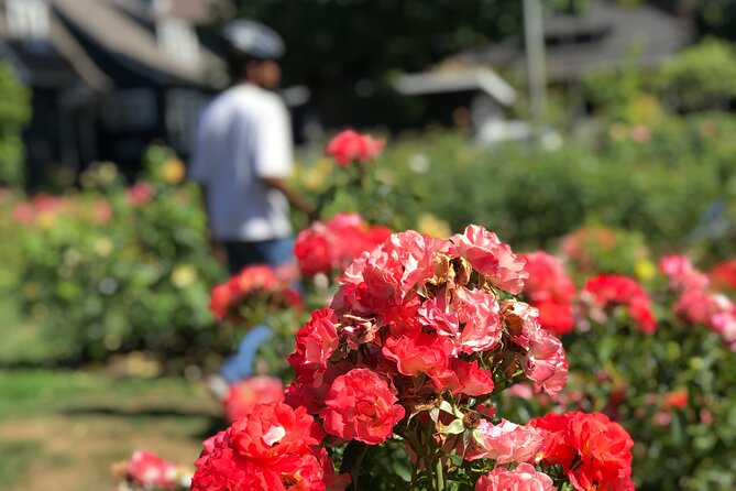 Bike Around Portland Oregon: Art, Culture, Bridges, Poetry - What Travelers Are Saying