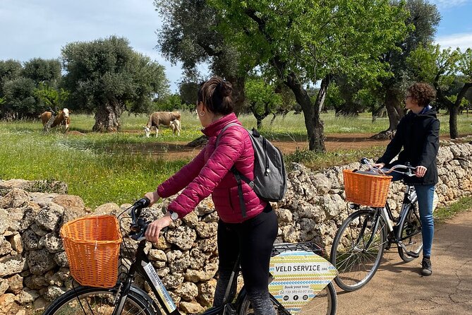 Bike Rental in Bari - Pricing and Cancellation Policy