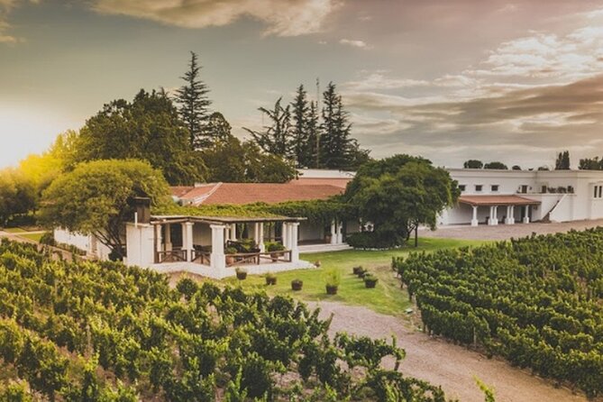 Bike Tour in Mendoza Wine Country - Biking Experience