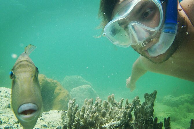 Biologist Owned & Operated: Dolphin Watching & Guided Snorkeling - Frequently Asked Questions