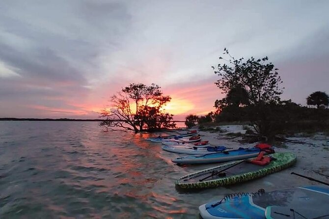 Bioluminescence Clear Kayak or Paddleboard Tour Near Orlando - The Perfect Meeting Point