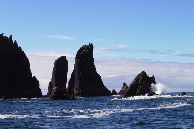 Blasket Island Eco Tour. - Accessibility and Amenities