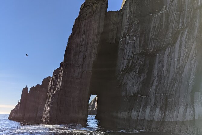 Boat Tour of Dingle Peninsula - Recommendations