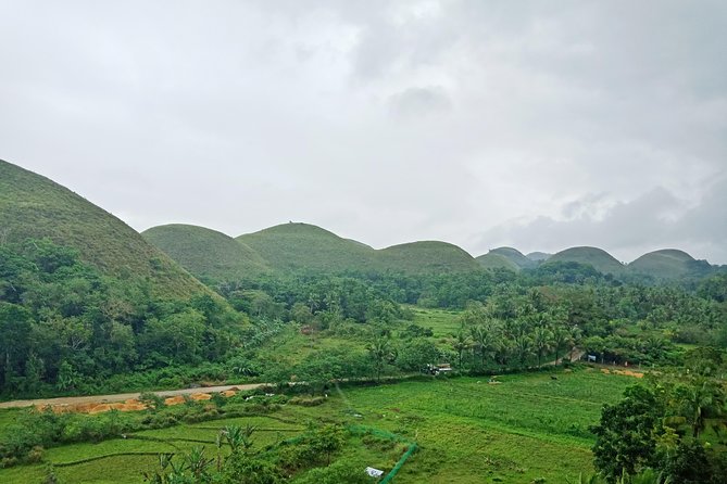 Bohol Chocolate hills and Nature tour - FAQ