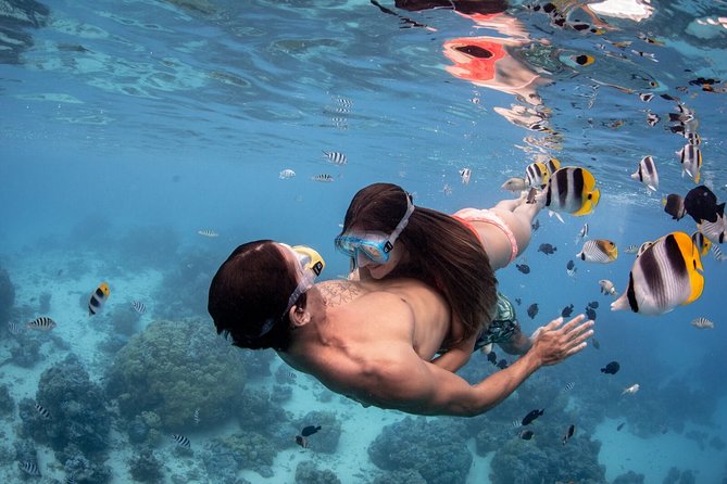 Bora Bora Eco Snorkel Cruise Including Snorkeling with Sharks and Stingrays - FAQs