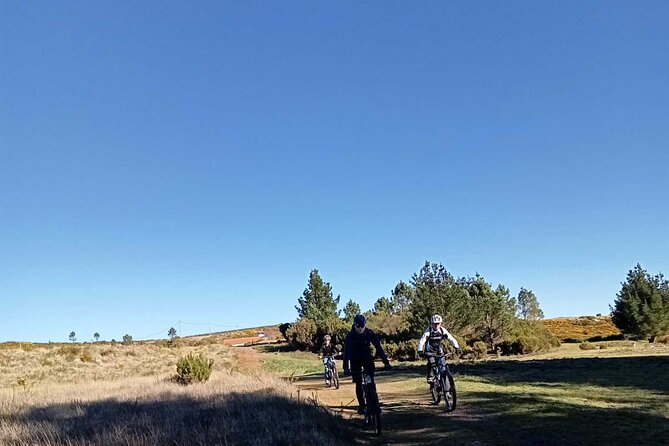 Botanical Trails of Madeira. Mountain Biking Trail Experience - Whats Included in the Adventure