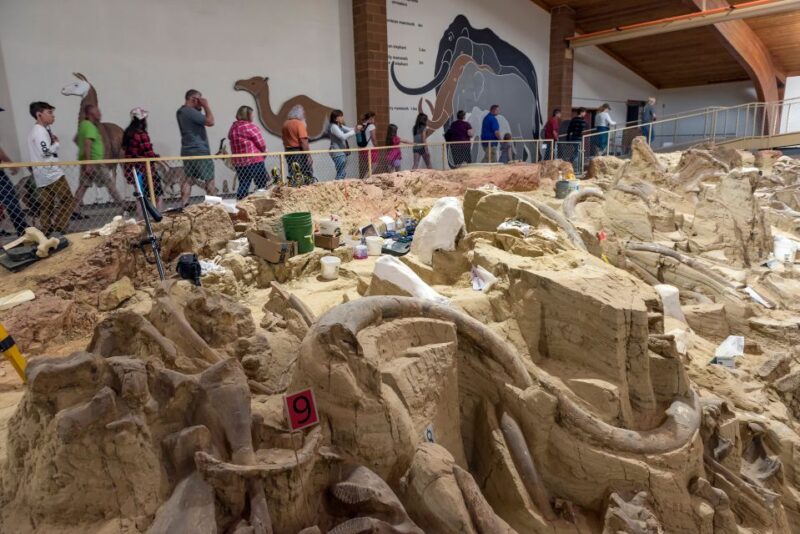 Buffalo Jeep Safari & Mammoth Site Tour - The Practicalities: What’s Included and How It Works