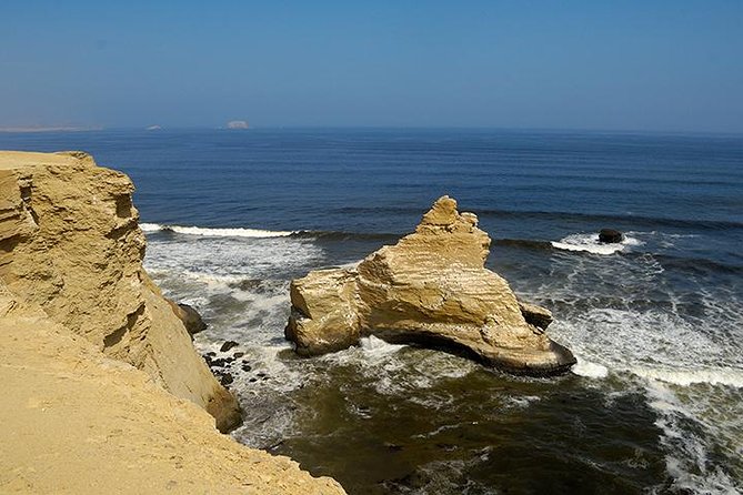 Buggy Ride in Paracas National Reserve - Inclusions, Exclusions, and Logistics