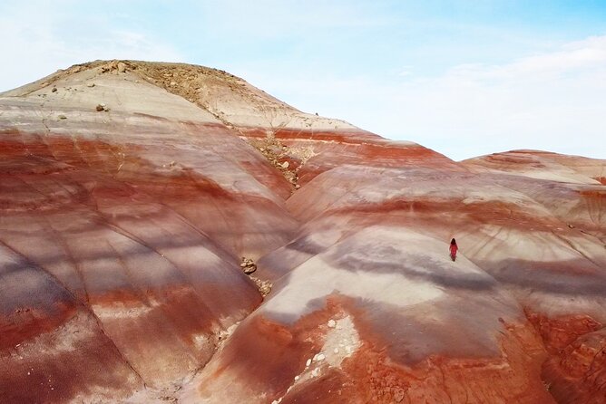 Capitol Reef National Park: Cathedral Valley off-road Jeep tour - Who Will Love This Tour?
