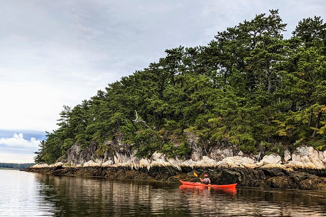 Casco Bay Half-Day Sea Kayak Tour - Who Will Enjoy This Tour?