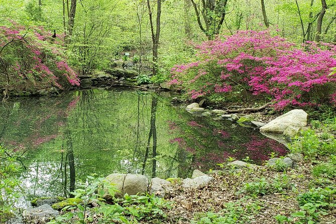Central Park Walking Tour - Accessibility and Physical Fitness Level
