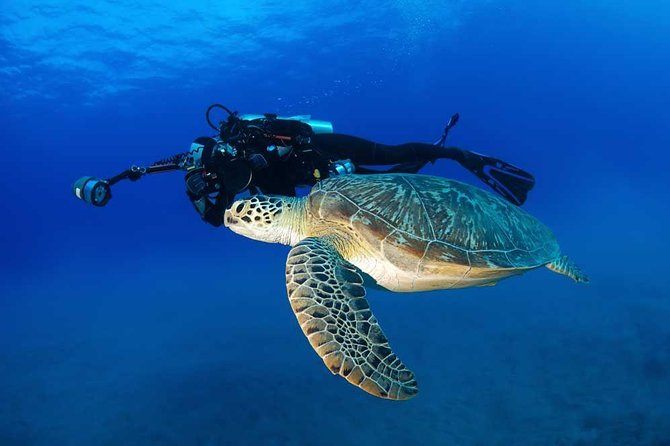 Certified Diver: 2-Tank Deep Wreck and Shallow Reef Dive Off Oahu - FAQ