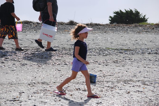 Charleston Eco Boat Cruise with stop at Morris Island Lighthouse - The Sum Up: Who Will Get the Most Out of It?