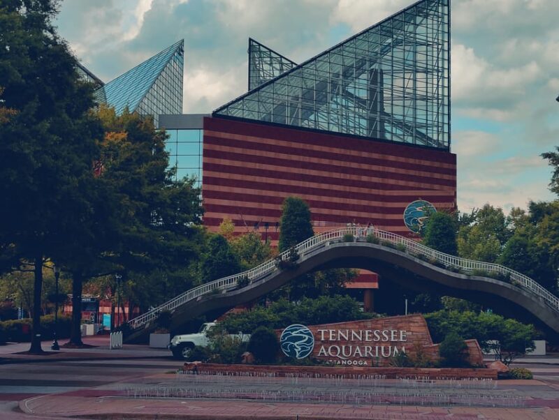 Chattanooga: The Flash City Sightseeing Tour by Trolley - Who Should Consider This Tour?