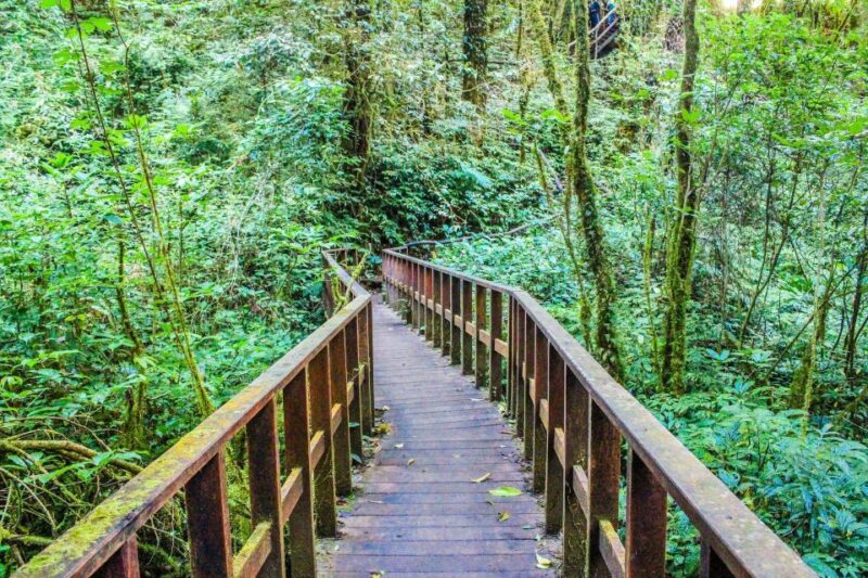 Chiang Mai: Doi Inthanon, Waterfalls, & Tribal Villages Tour - The Sum Up
