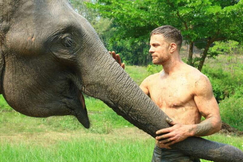 Chiang Mai: Elephant Feeding Experience - What’s Included and What’s Not
