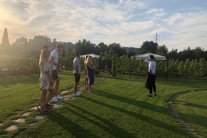 Chianti and San Gimignano - 2 Wineries With Pairing Lunch - Savouring a Gourmet Tuscan Lunch