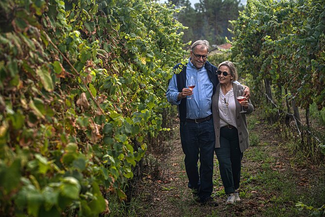 Classic Tasting | Quinta De Santa Cristina Vinho Verde - Personalized Small-Group Tours