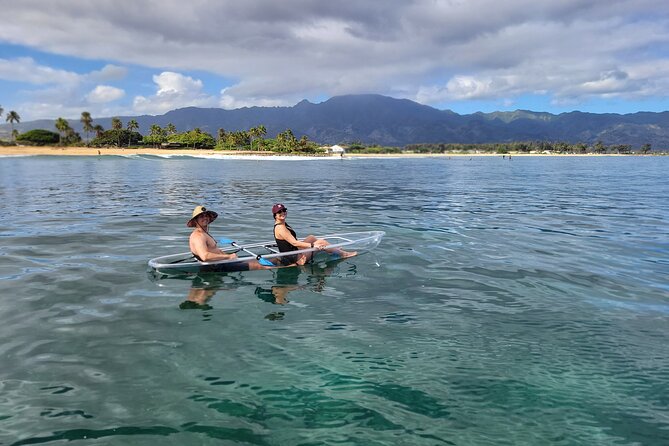 Clear Bottom Kayak - Guaranteed to See Turtles! - Why Choose a Small-Group Adventure?