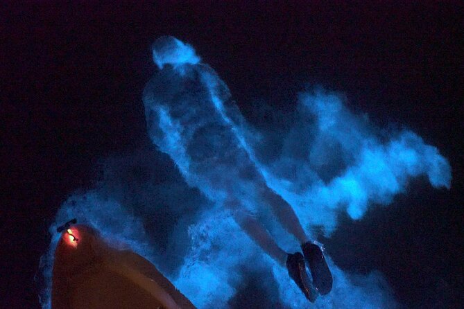 Clear Kayak Bioluminescence Tour - Tour Inclusions and Duration